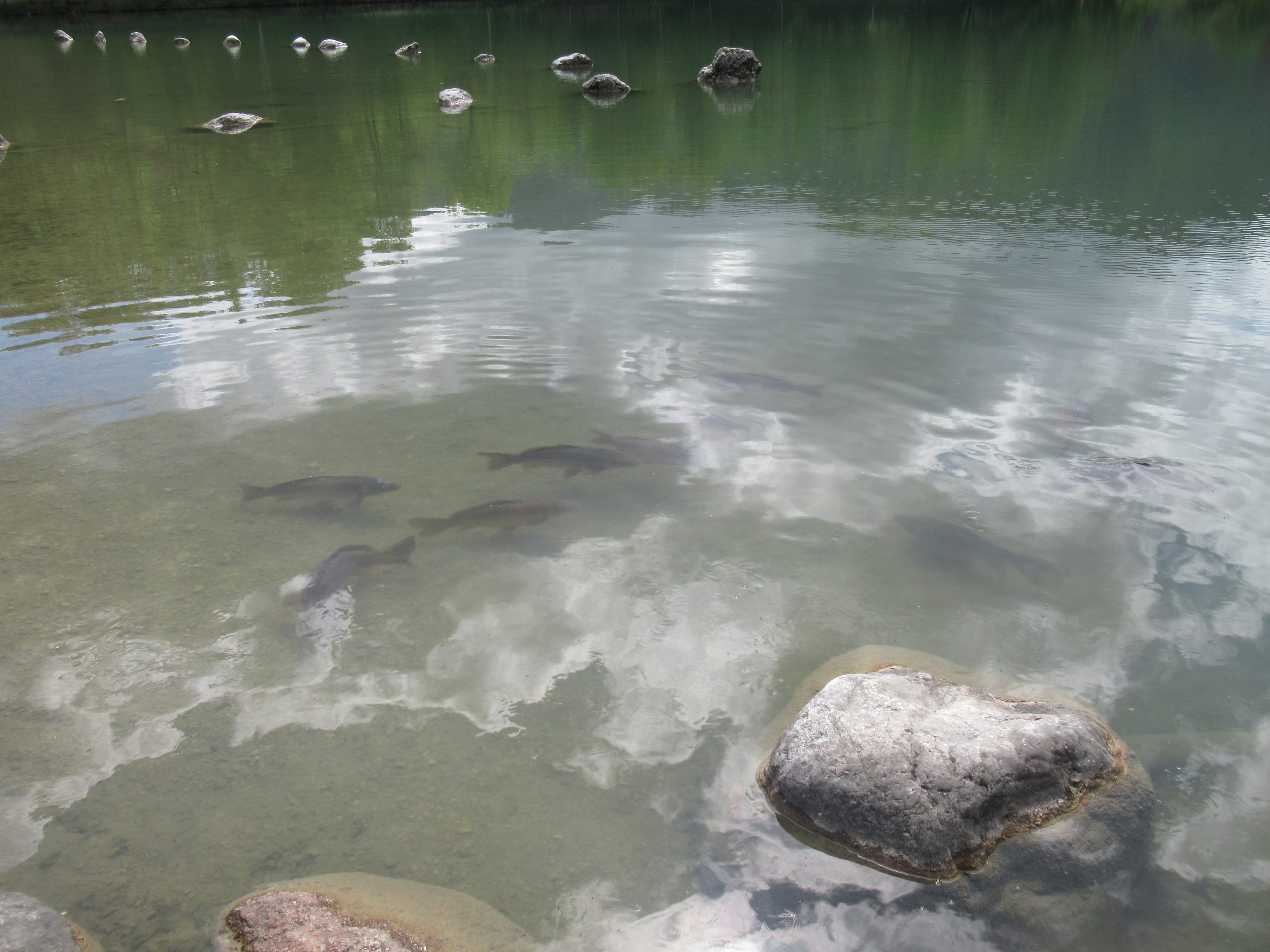 Radtour Prien – Wössner See – Samerberger Nachrichten