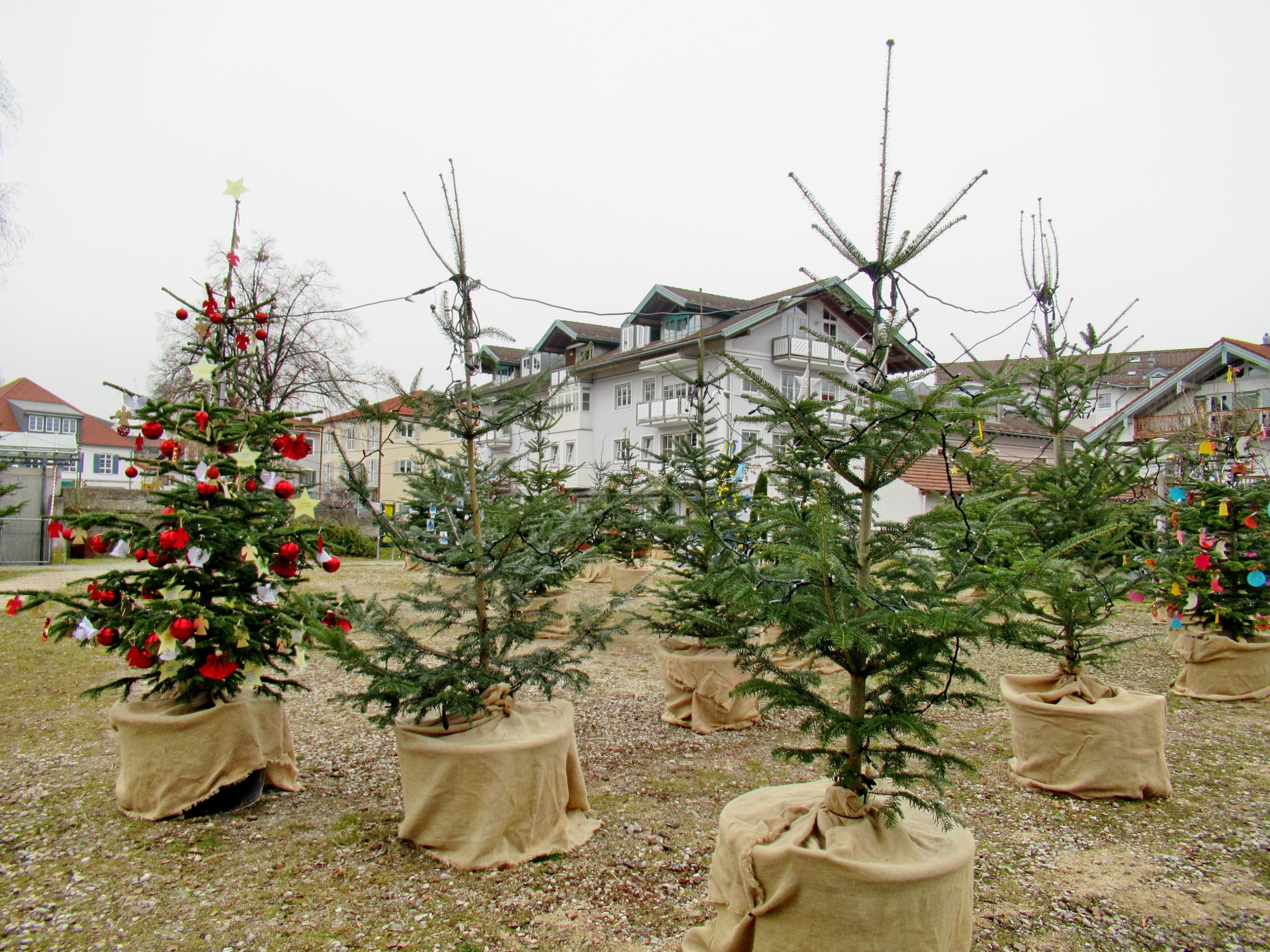“Prien leuchtet” beginnt am Donnerstag, 26. November – Samerberger ...