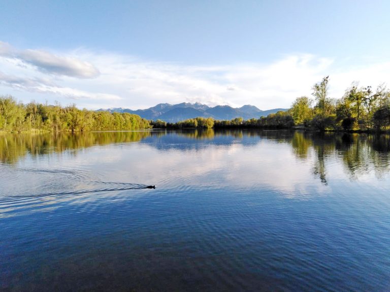 Die Happinger-See-Idylle – Samerberger Nachrichten