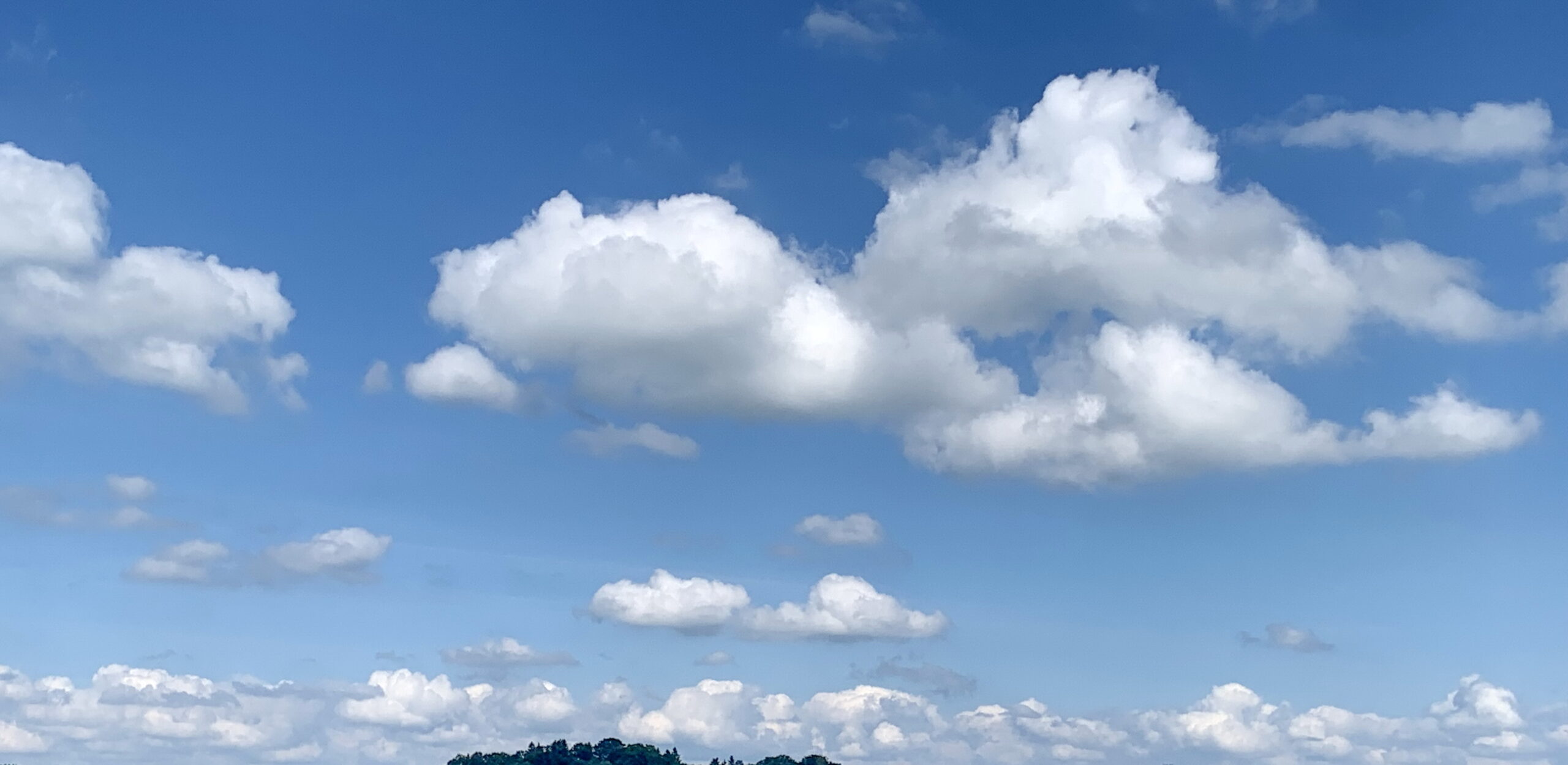 Internationaler Tag der Menschen mit Behinderung – Samerberger Nachrichten
