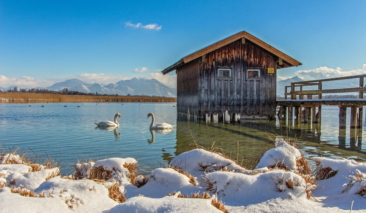 Für Weihnachten: Der Chiemgau-Chiemsee-Doppelkalender 2023 – Samerberger Nachrichten