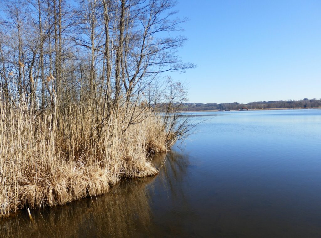 Oster-Ausflug: mit dem E-Bike von Prien zum Tinninger See ...