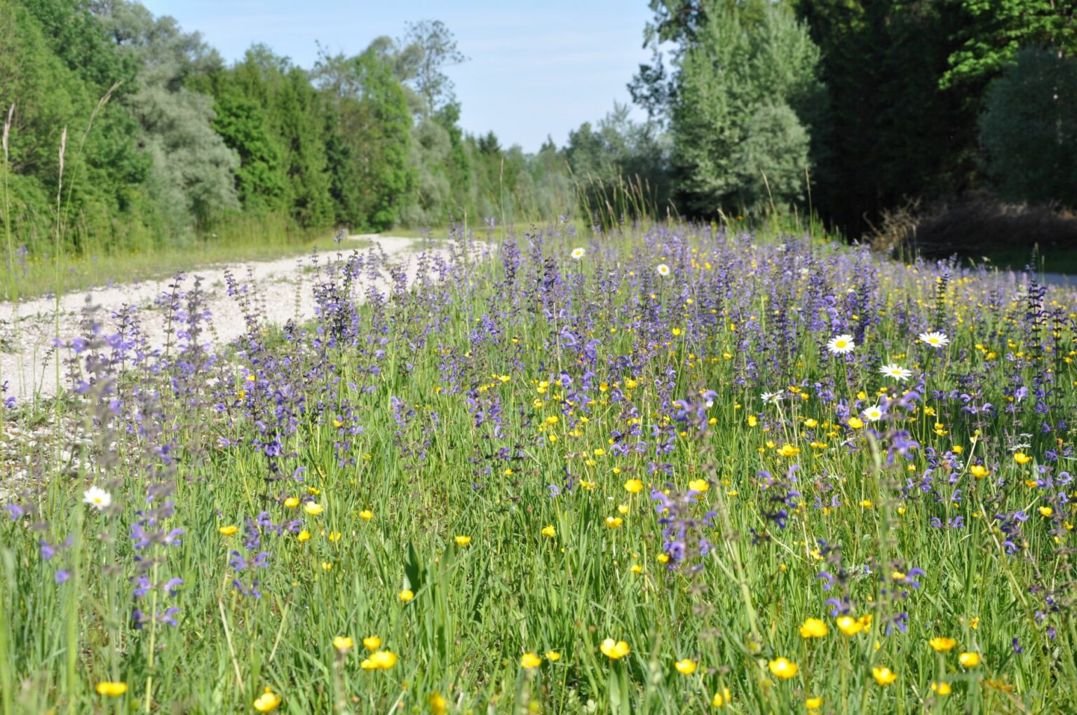 Mähen von Deichen für Hochwasserschutz und Ökologie – Samerberger ...