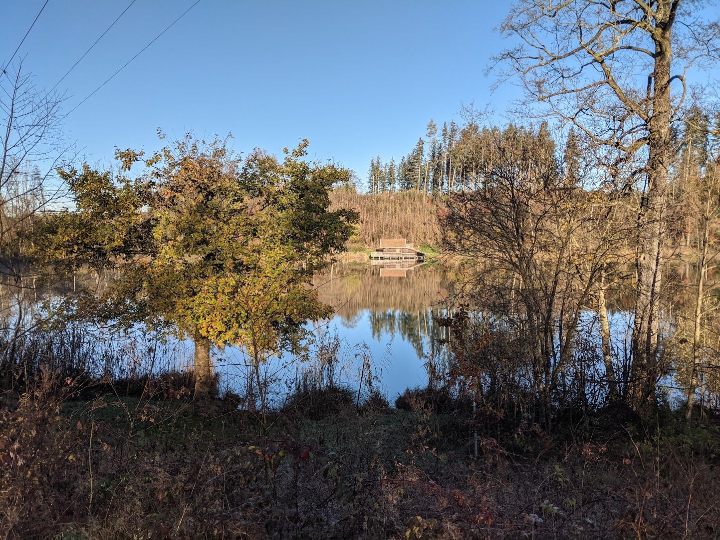 Am Dienstag, 21.November Wanderung durch die Murner Filze – Samerberger ...