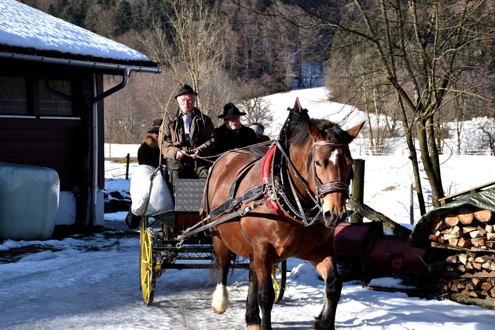 Schlechinger Sternritt am Stephanitag – Samerberger Nachrichten