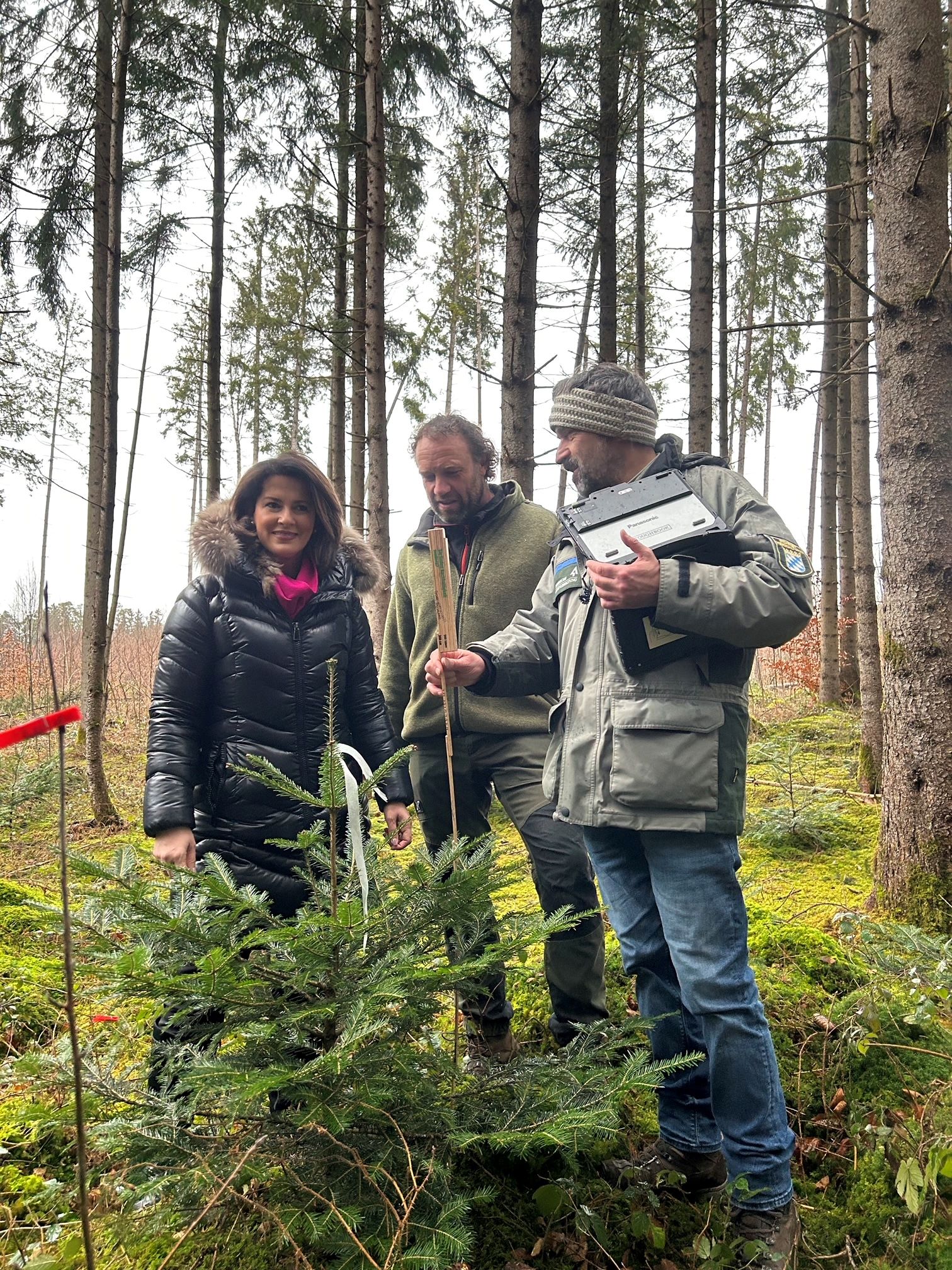 Bayern: Erhebung der Verbiss-Spuren im Wald – Samerberger Nachrichten