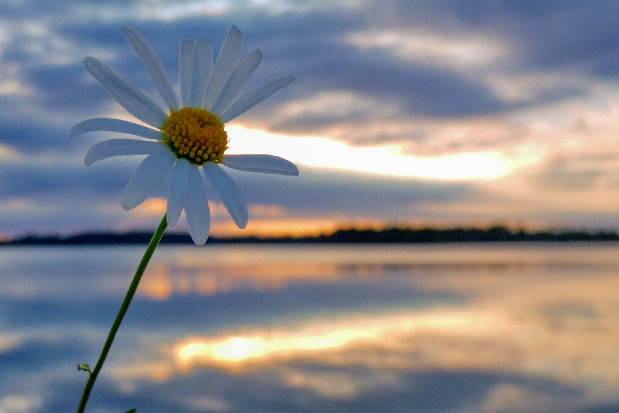 Rott Rottiert – Endlich eine Chance für Transparenz – Samerberger ...