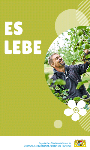 Ausflug nach Maria Klobenstein und zur Entenlochklamm – Samerberger ...