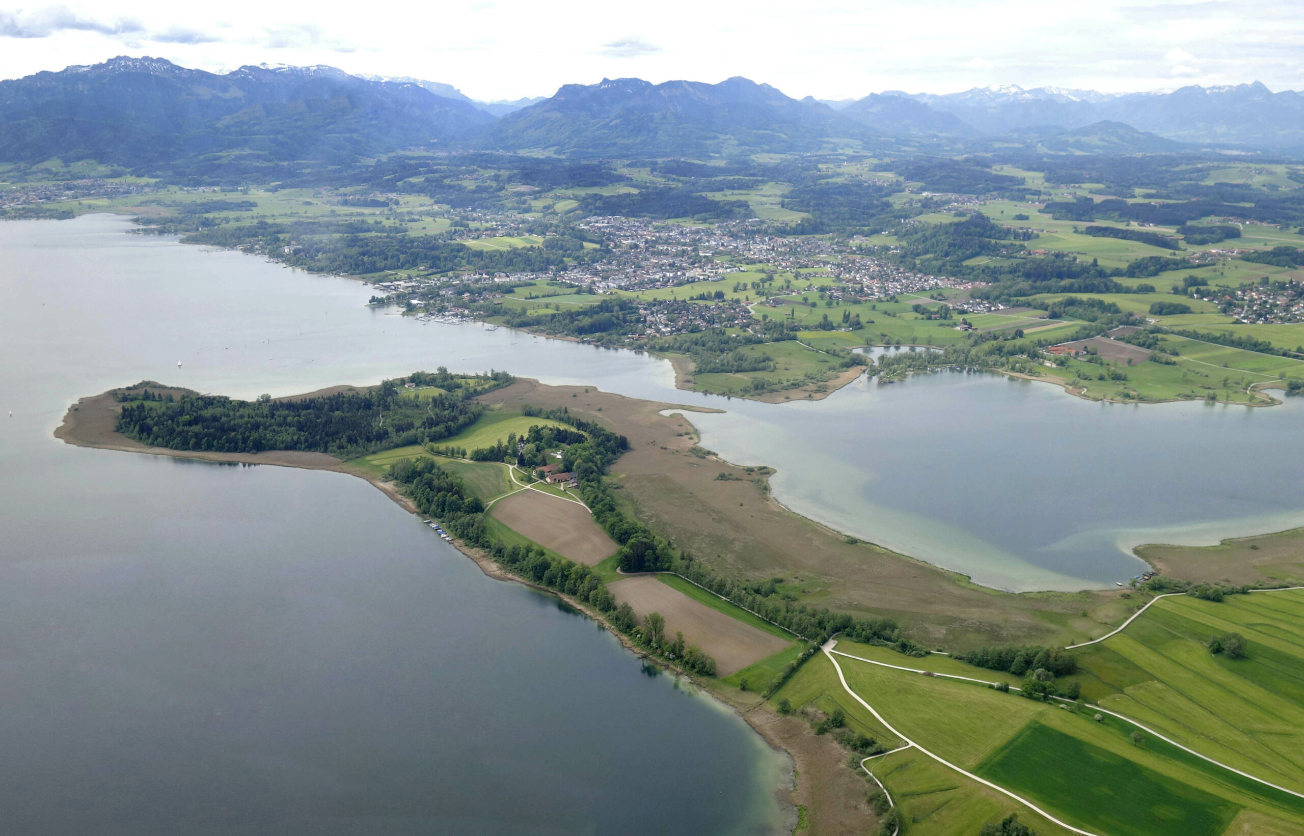 Die Landschafts-Ente von Sassau – Samerberger Nachrichten