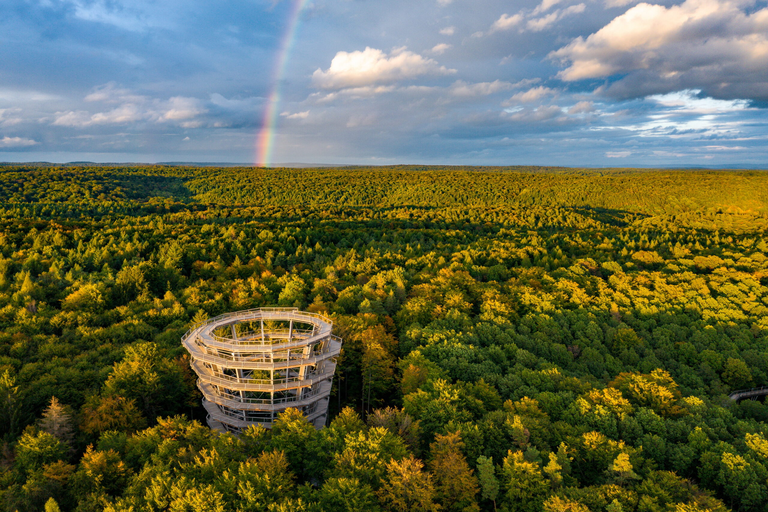 Tourismusmagnet Baumwipfelpfad im Steigerwald – Samerberger Nachrichten