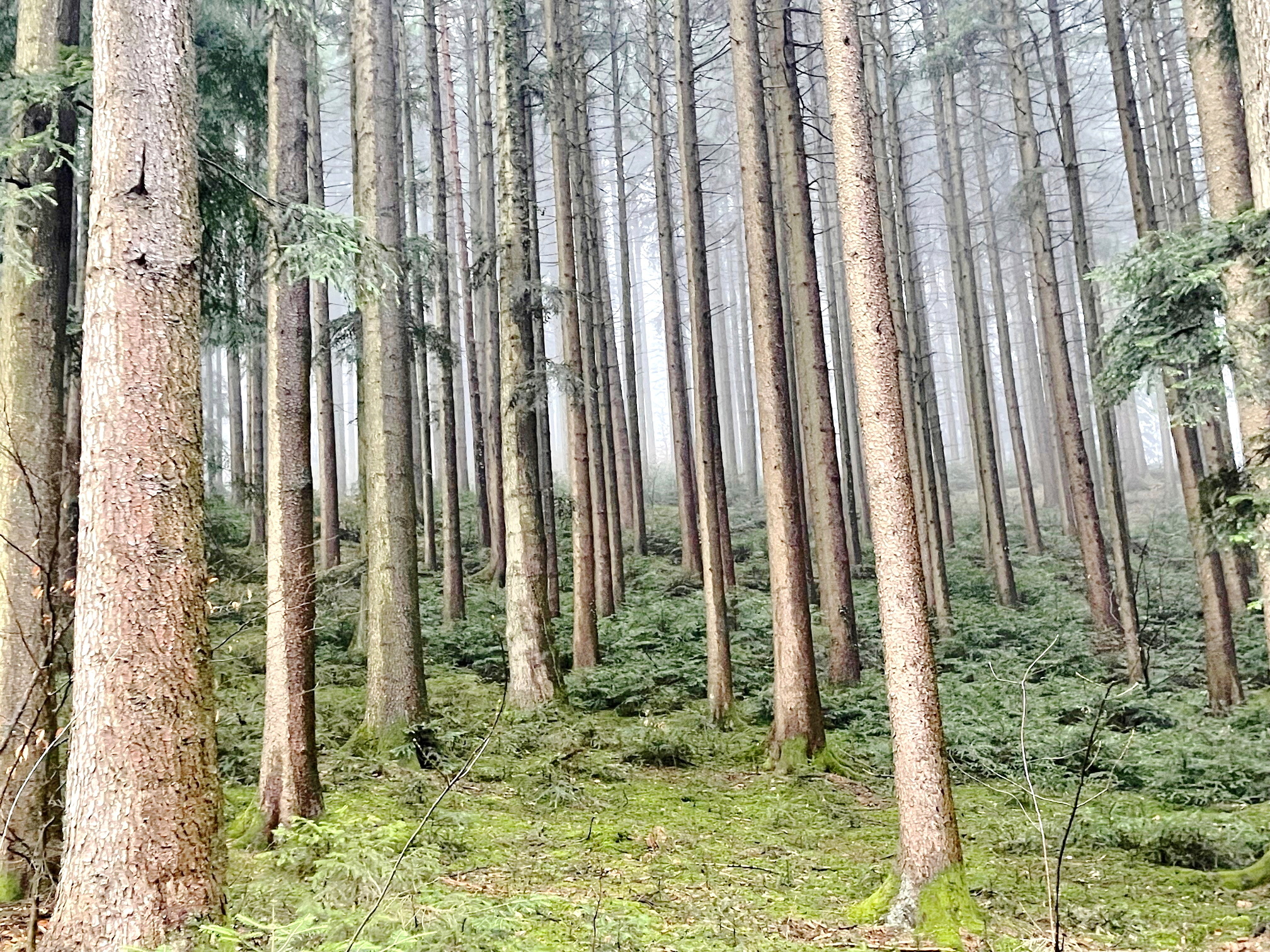 Bayern: Lösungen für Wald und Flur – Samerberger Nachrichten