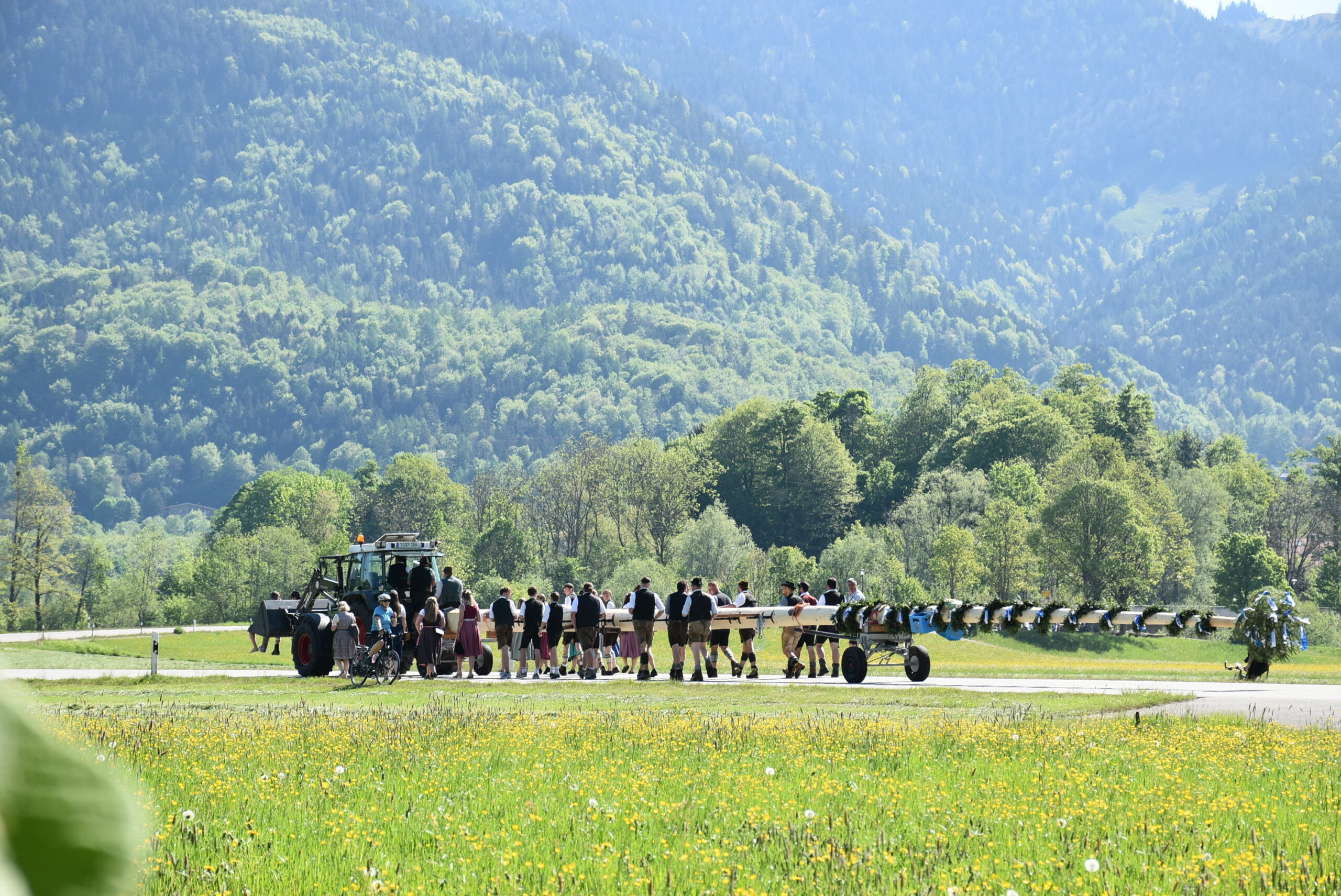Schlechinger bringen Wössner Maibaum – Samerberger Nachrichten