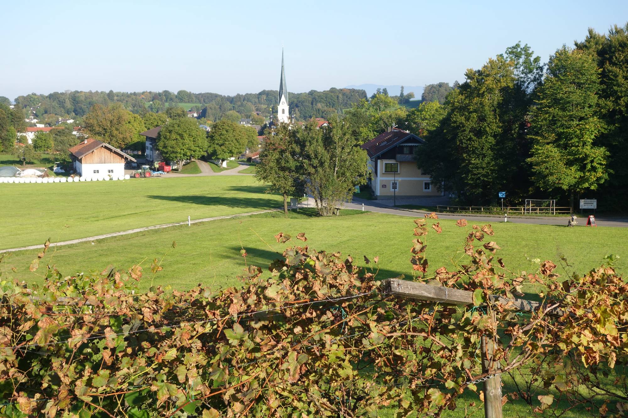 Maiandacht am Priener Weinberg – Samerberger Nachrichten