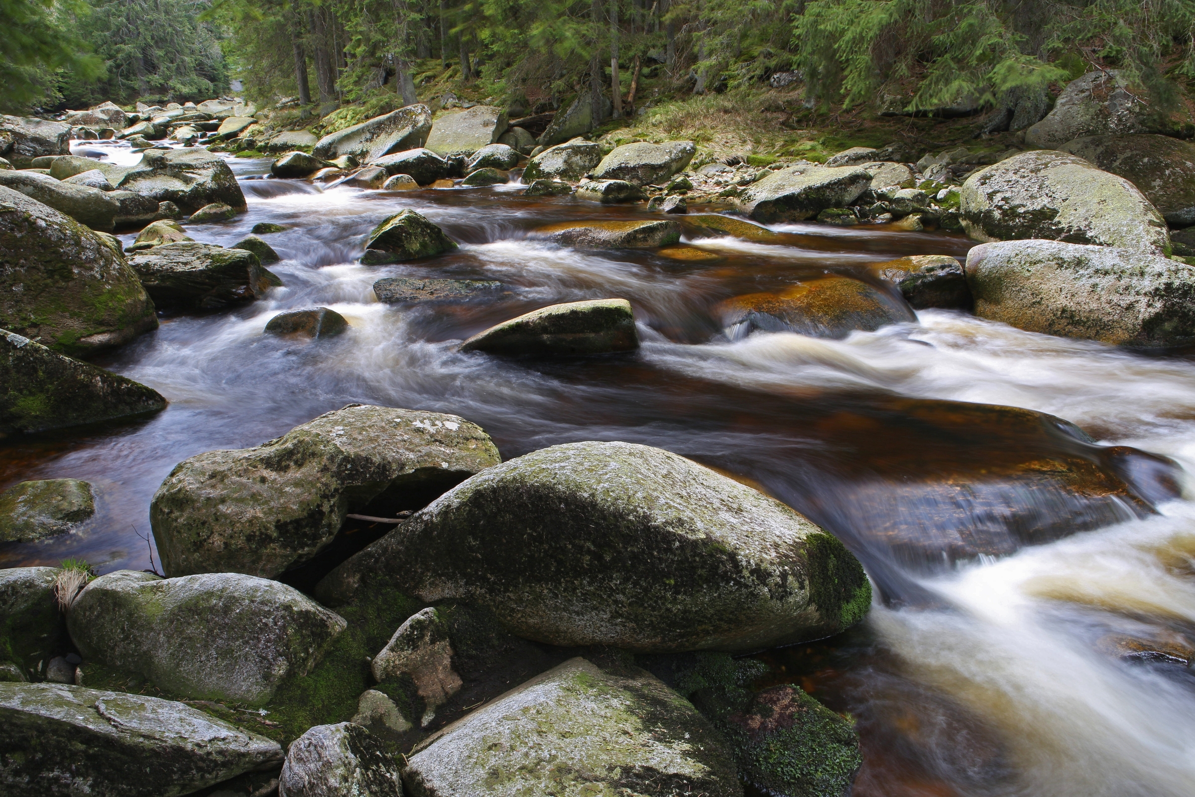 Wildwasser im Böhmerwald – Samerberger Nachrichten