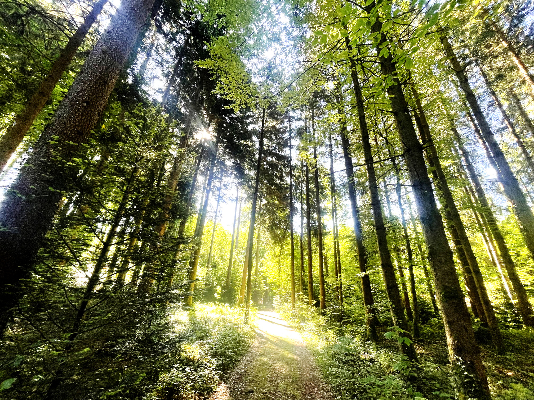Forst-Holz-Dialog in Berlin – Samerberger Nachrichten